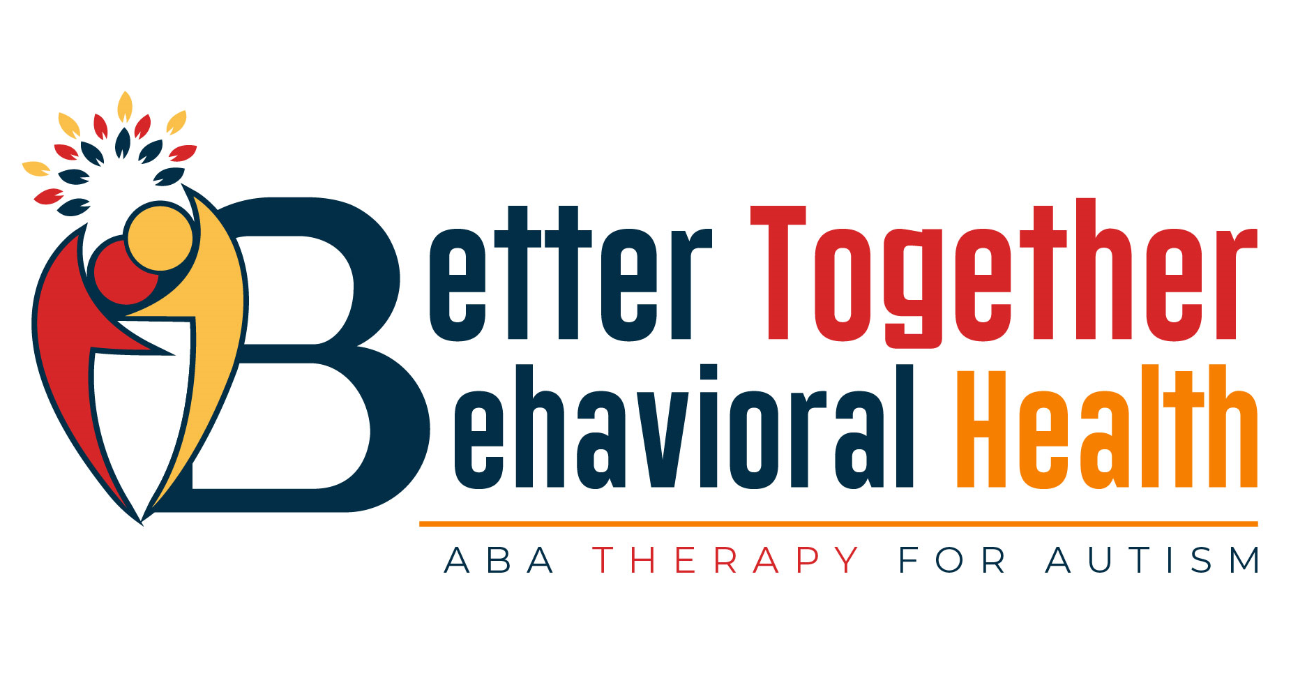 BETTER TOGETHER BEHAVIORAL HEALTH INC - Application Successful