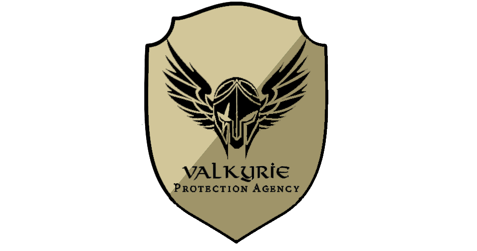Valkyrie Protection Agency LLC - Application Successful