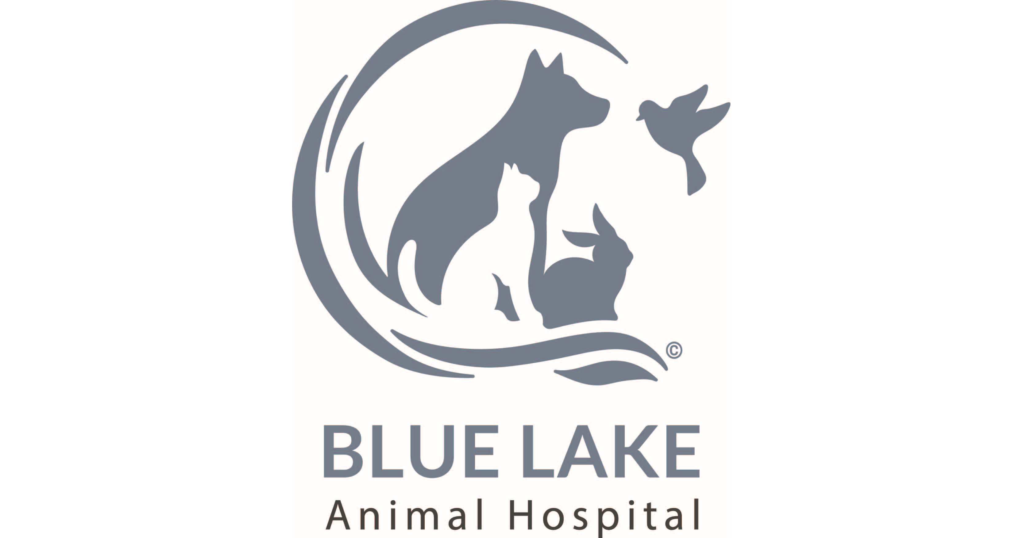 Blue Lake Animal Hospital LLC - Job Opportunities