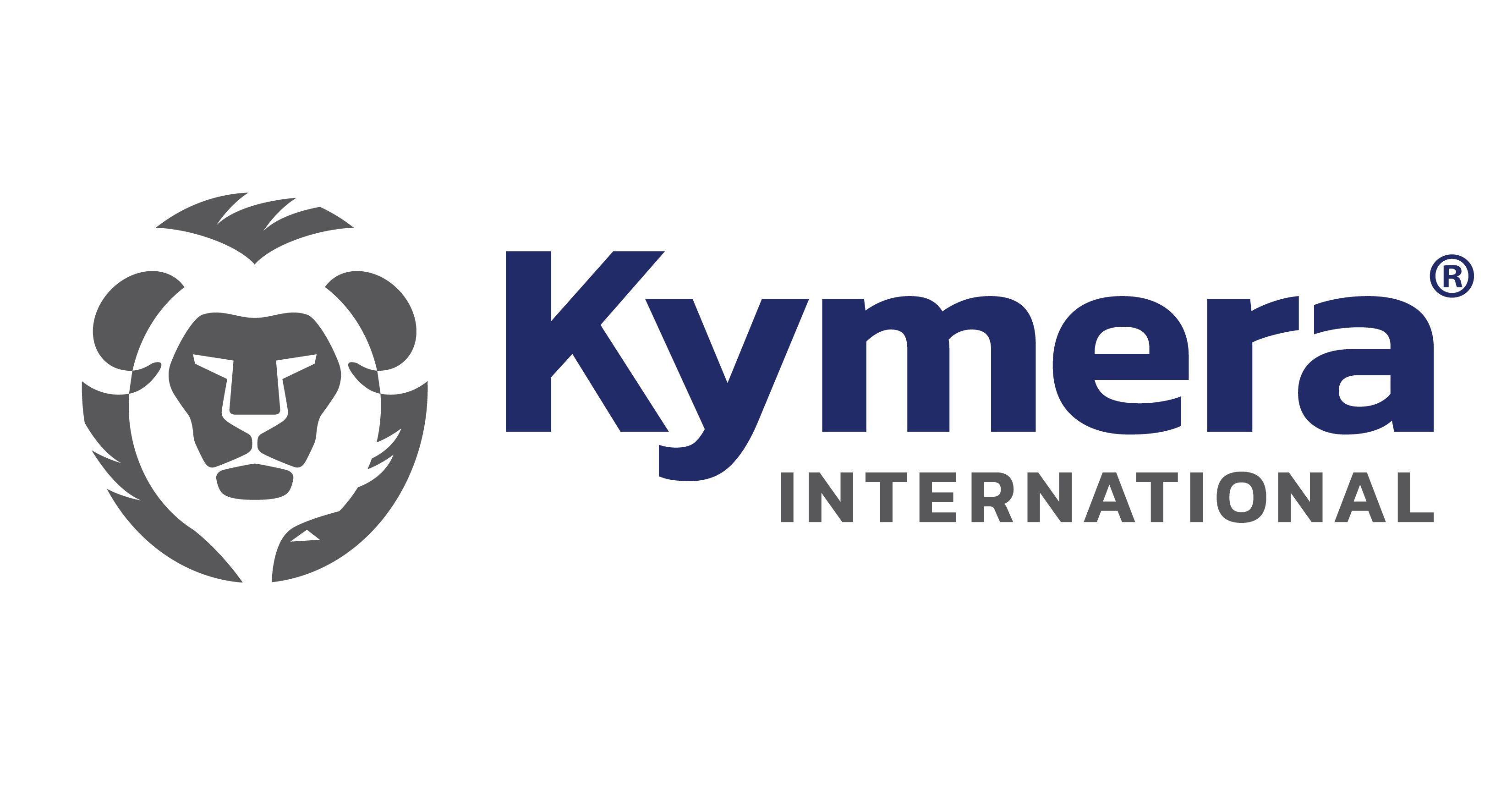 Kymera International - SAP S/4 HANA Workstream Lead O2C (Order-to-Cash)