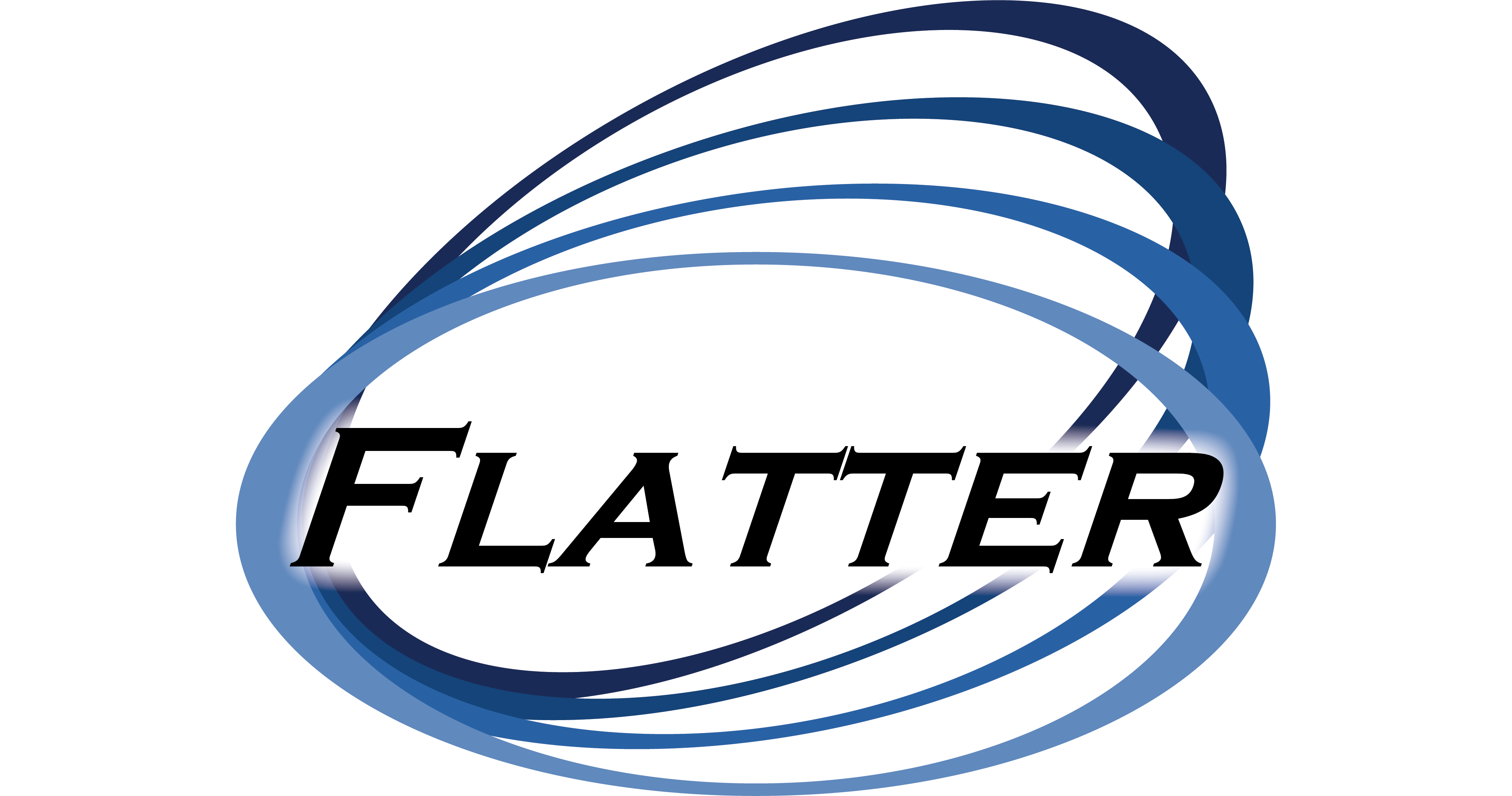 FLATTER INC - Business Analyst II
