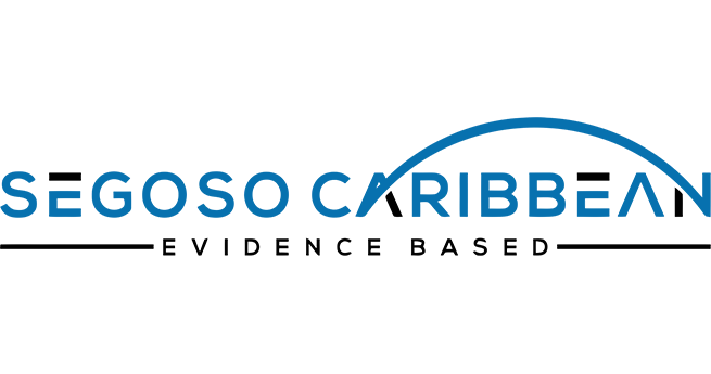 SEGOSO JAMAICA - Workforce Analyst