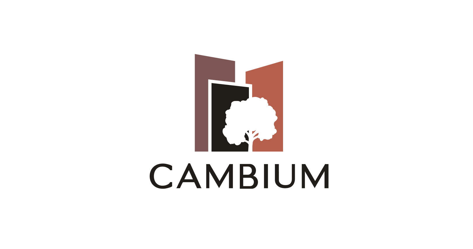 Cambium Carbon PBC - VP of Sales