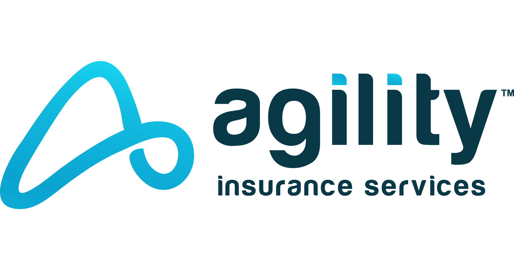 Agility Insurance Services, LLC - Vice President of Sales Operations ...