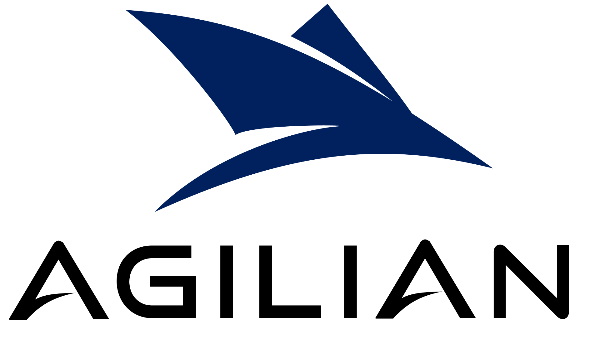 Agilian LLC - Data Consultant