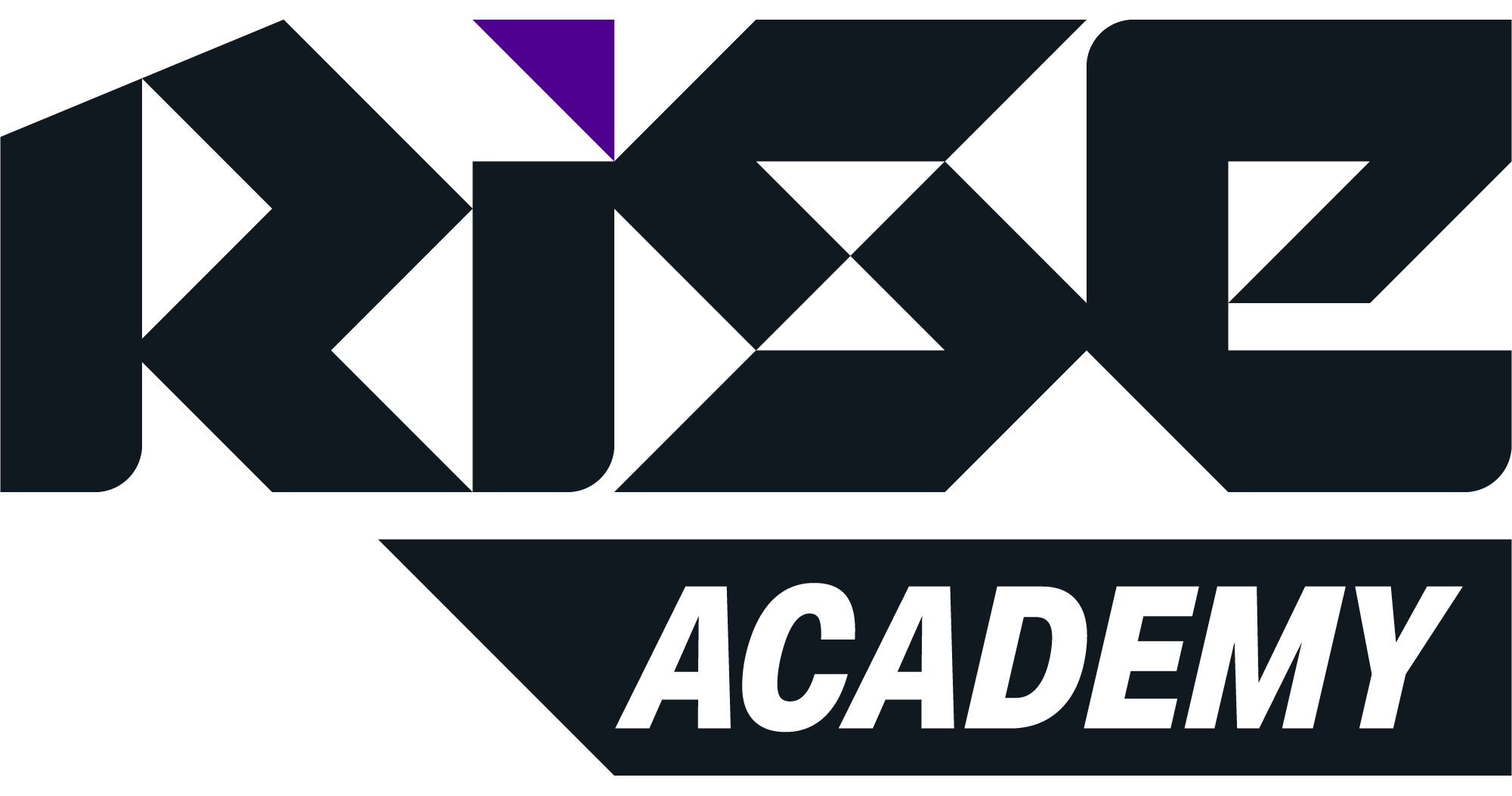 Rise Academy - Job Opportunities