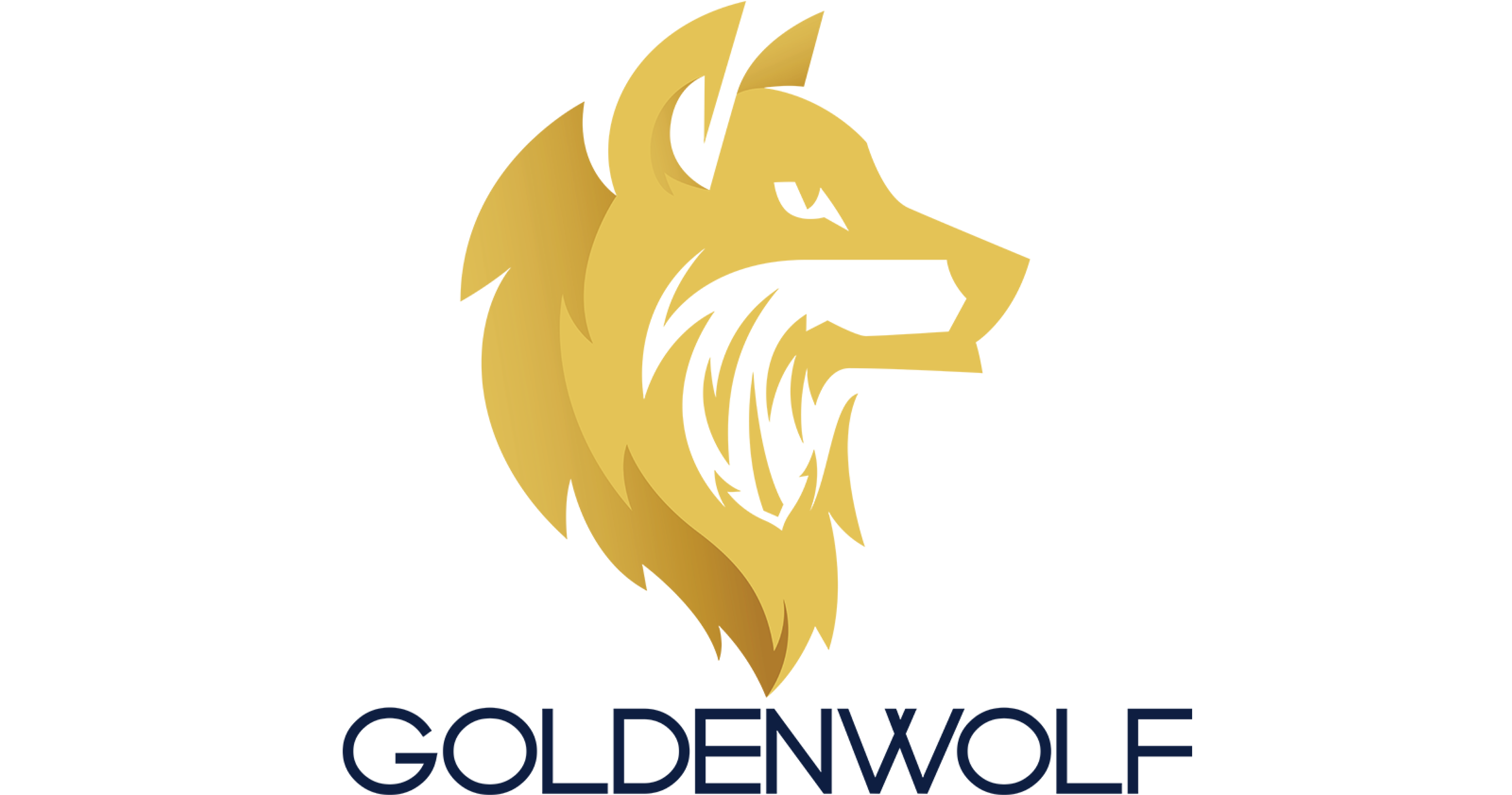 GOLDEN WOLF LLC - Data Quality Analyst
