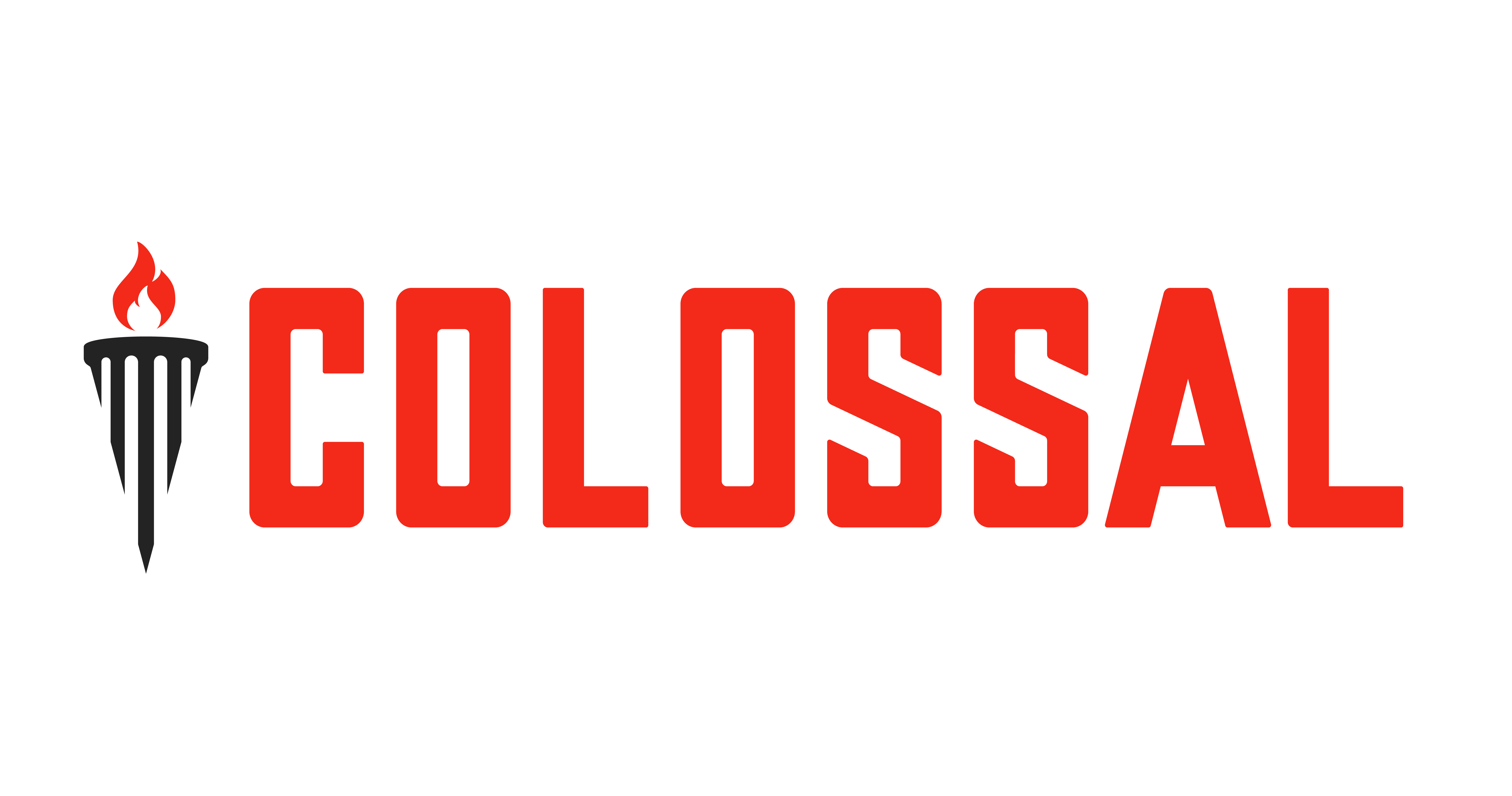 Colossal Contracting LLC - Network Security Engineer