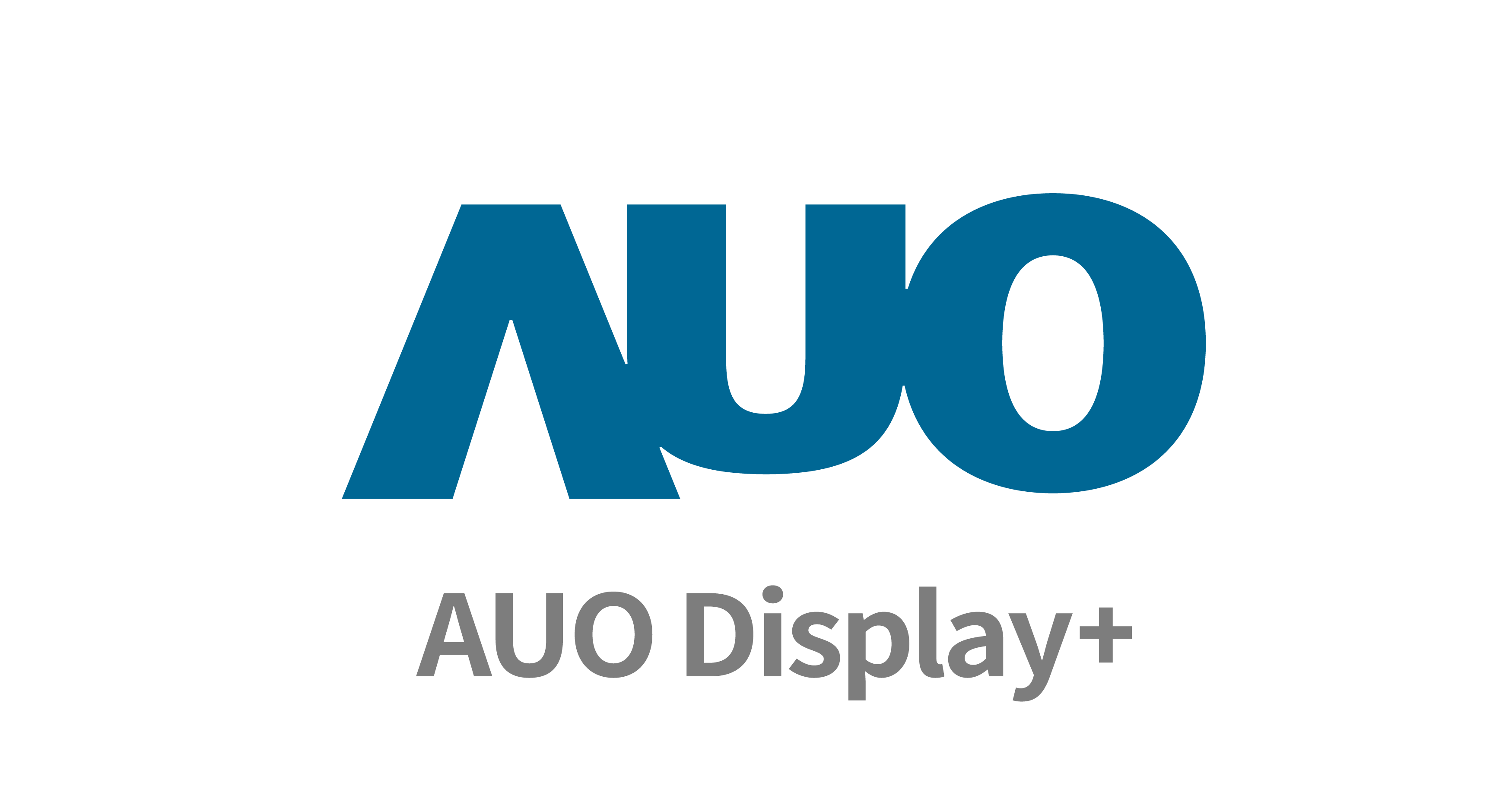 AUO Display Plus America Corp - Accounting Manager