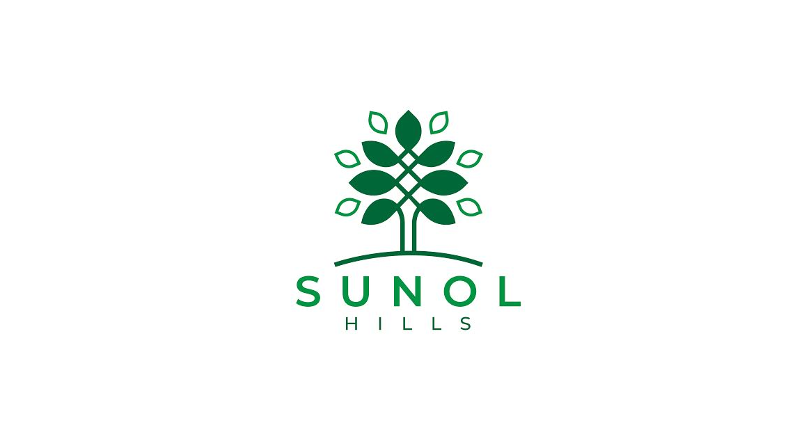 Sunol Hills, LLC - Fractional (part time) Director of Marketing