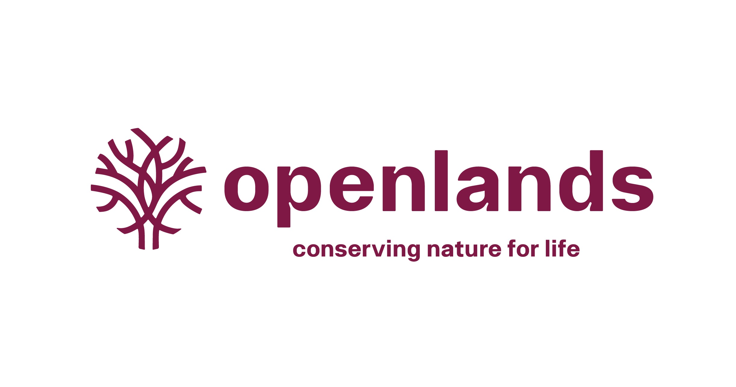 OPENLANDS - Assistant Director of Communications Application