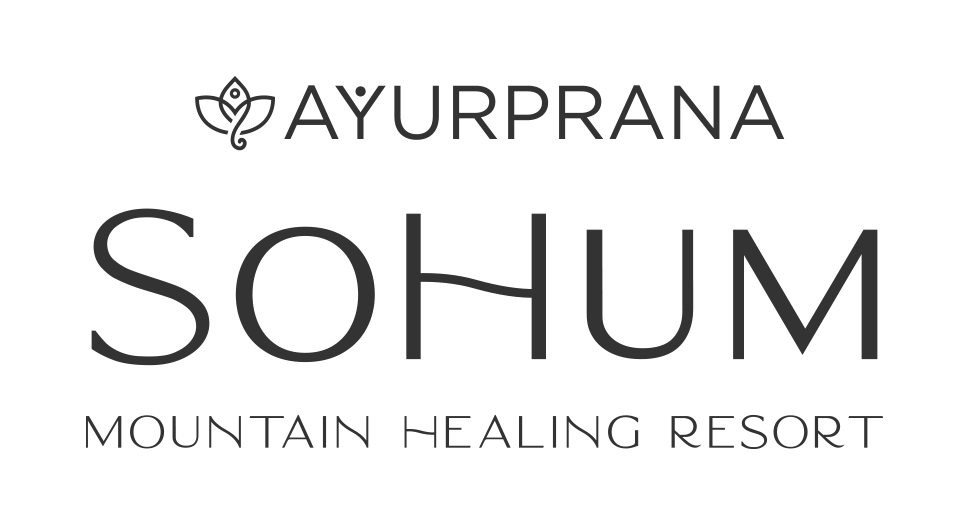 SoHum Mountain Healing Resort - GENERAL MANAGER - RETREAT RESORT