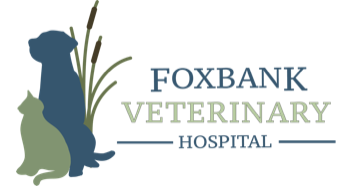 Foxbank Animal Hospital - Job Opportunities